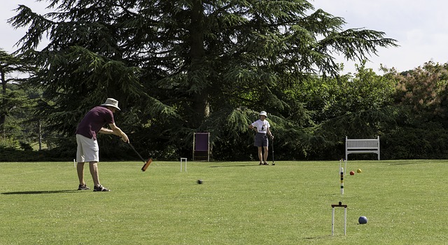 Cricket vs Croquet – What’s the Difference? – australiancricketsociety.com